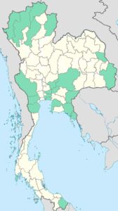 Luthrodes Pandava - Thai Butterfly Trips